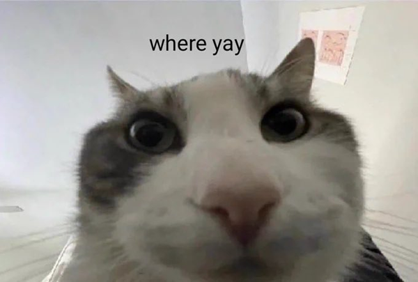 一员保前三？22年最佳选手yay究竟有多大的魅力_5EPlay - 5EPlay赛凡网