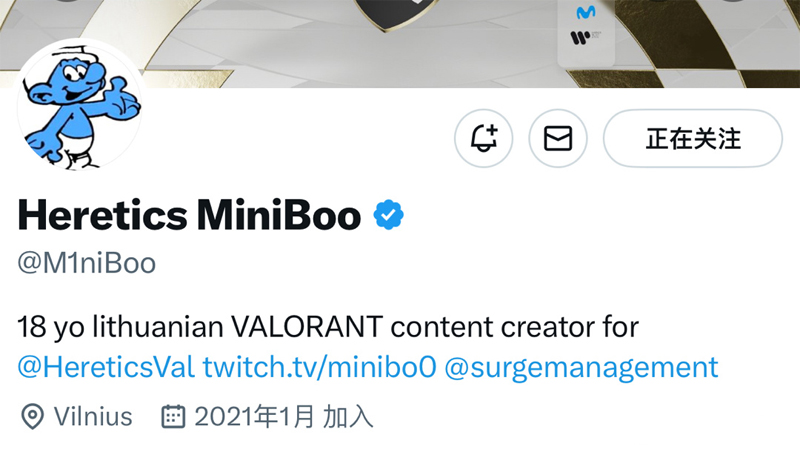 【选手趣闻】MiniBoo已将社交媒体简介改成“主播”_5EPlay - 5EPlay赛凡网
